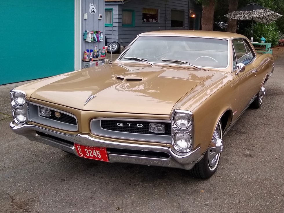 Nelson, Bill | Northwest GTO Legends